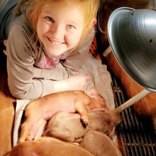 Youth Pig Project - Wisconsin Pork Association